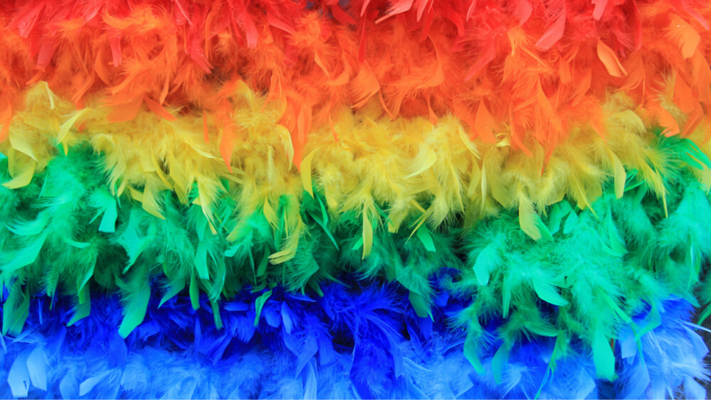 Rainbow Feathers Co: Your Go-To Shop for Custom Feathers - Made.Vegas